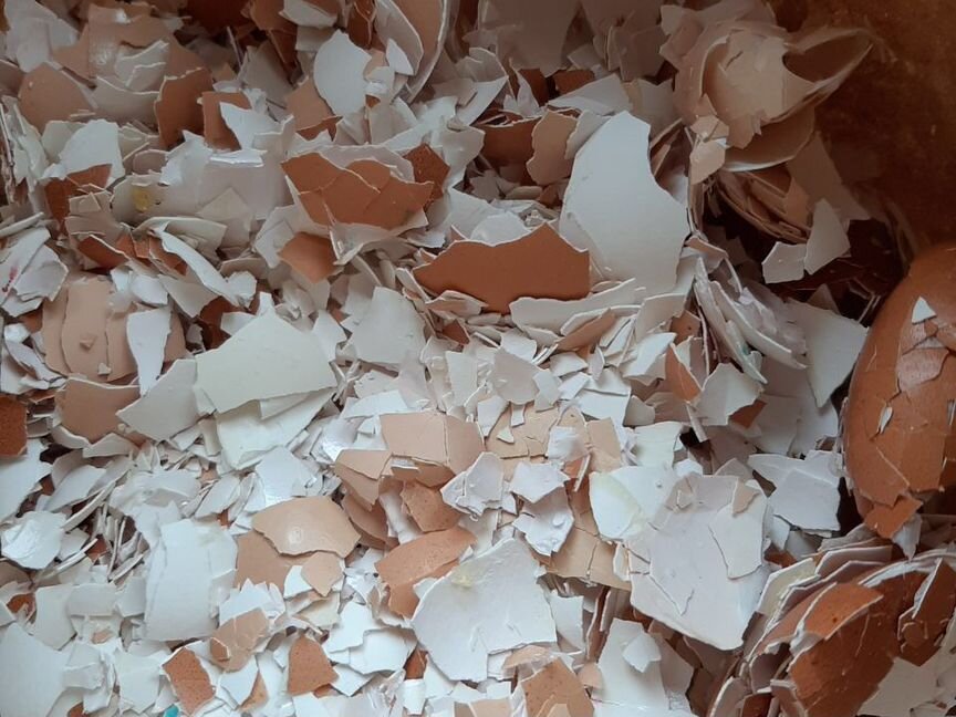 Яичная скорлупа