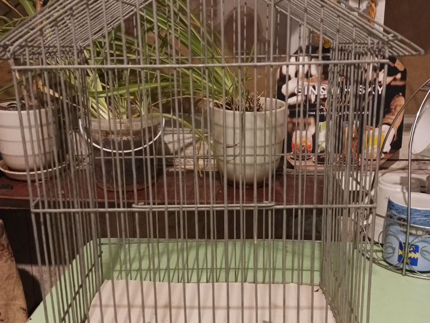 Клетка для волнистого попугая
