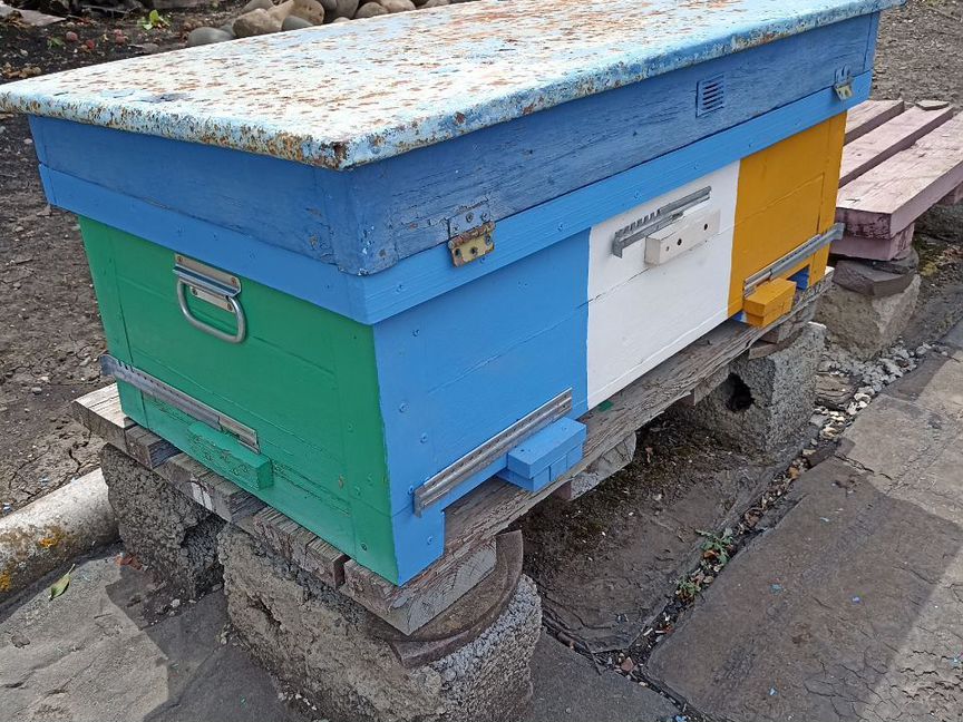 Улей для вывода маток