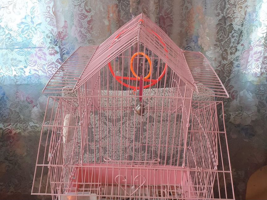Клетка для попугайчиков