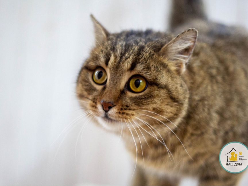 Маня Николаевна