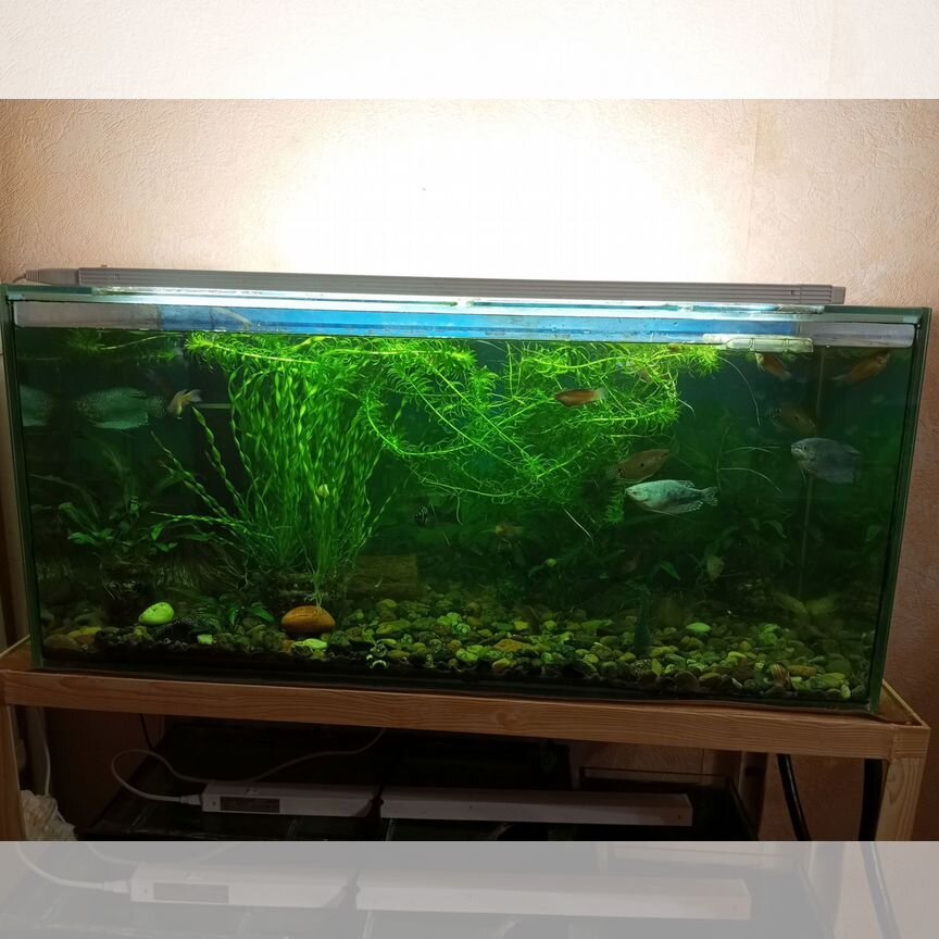 Аквариум 96 и 48 л.  рыбки