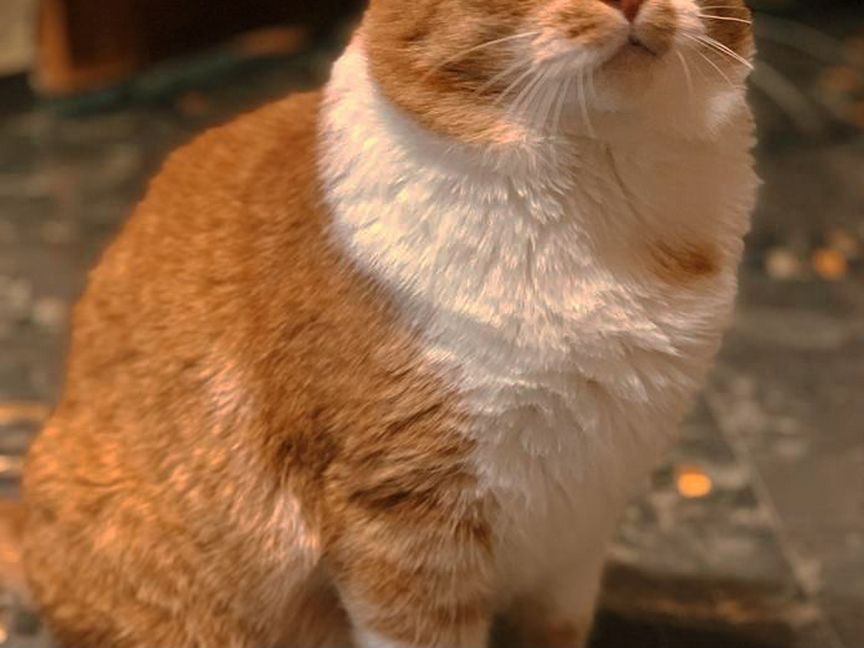 Мам Пап ну сколько вас ждать ТО