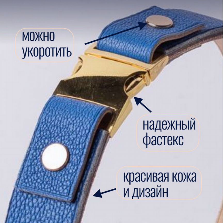 Ошейники на заказ