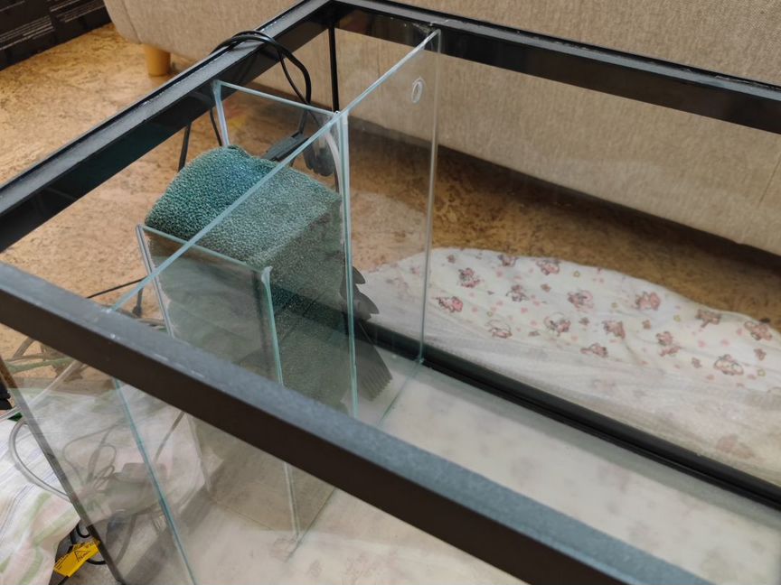 Аквариум для гарра руфа с фильтром