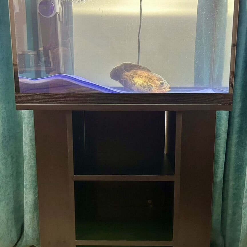 Аквариум aquael