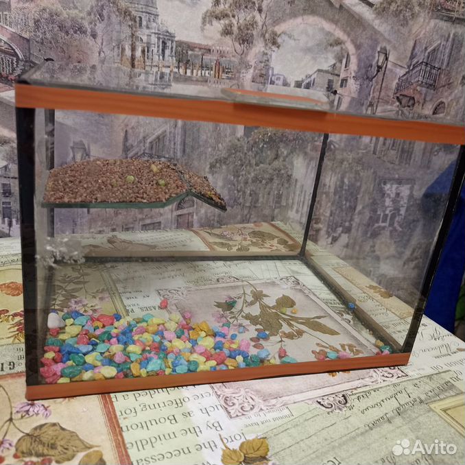 Аквариум для красноухой черепахи