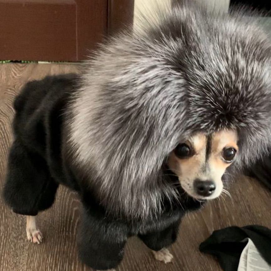 Норковая шуба для собаки