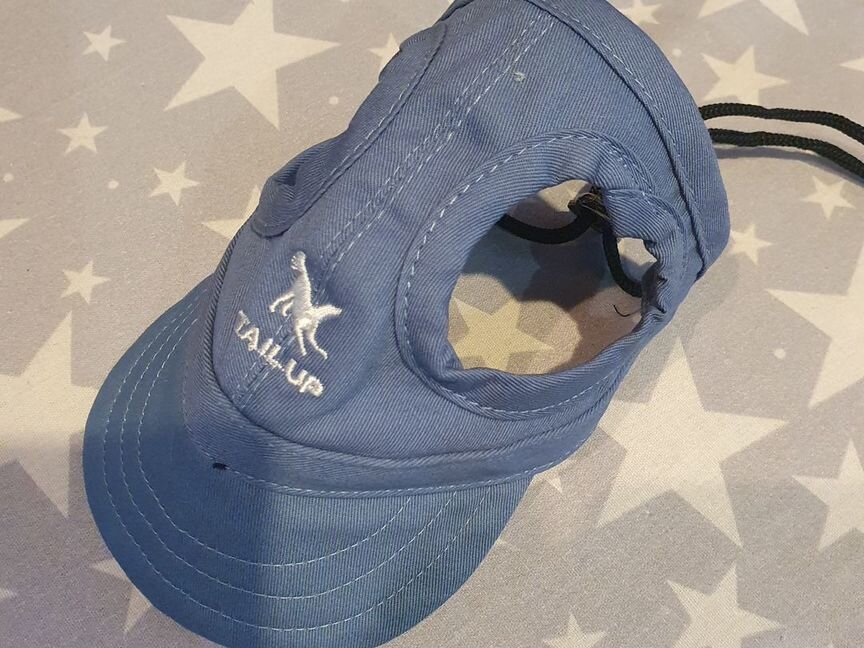 Кепка для собаки новая