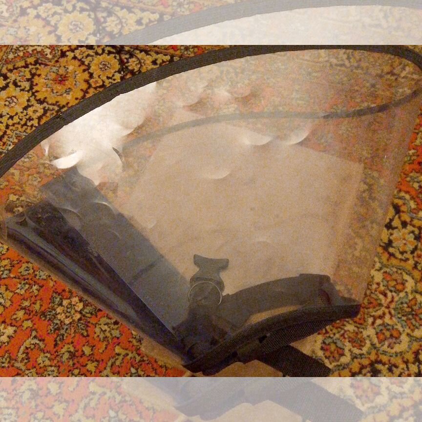 Воротник для собак