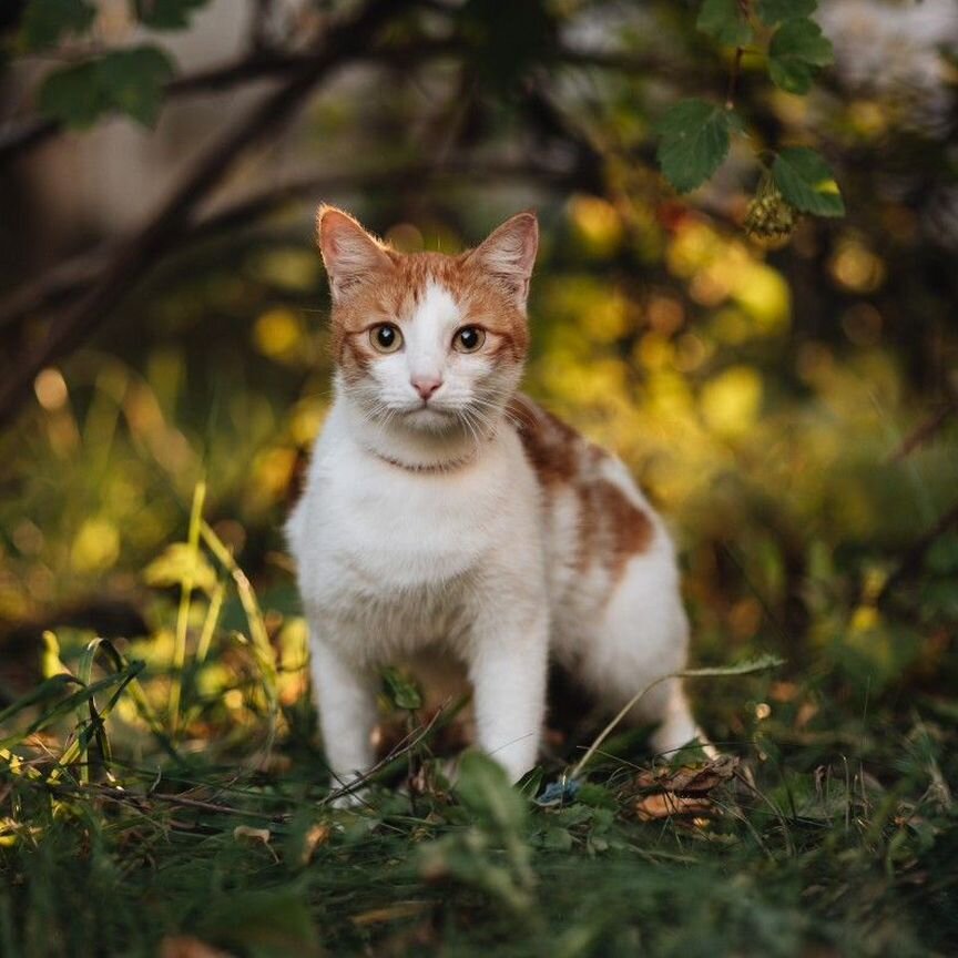 С рождения в приюте