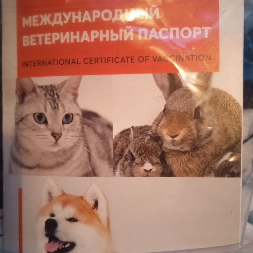 Игрушки для собаки