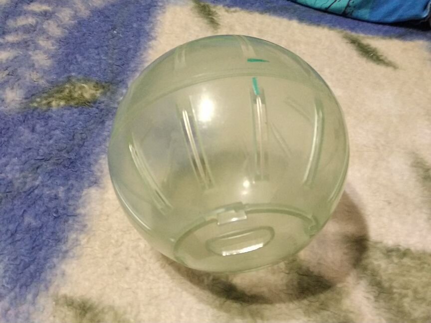 Шарик для хомяка