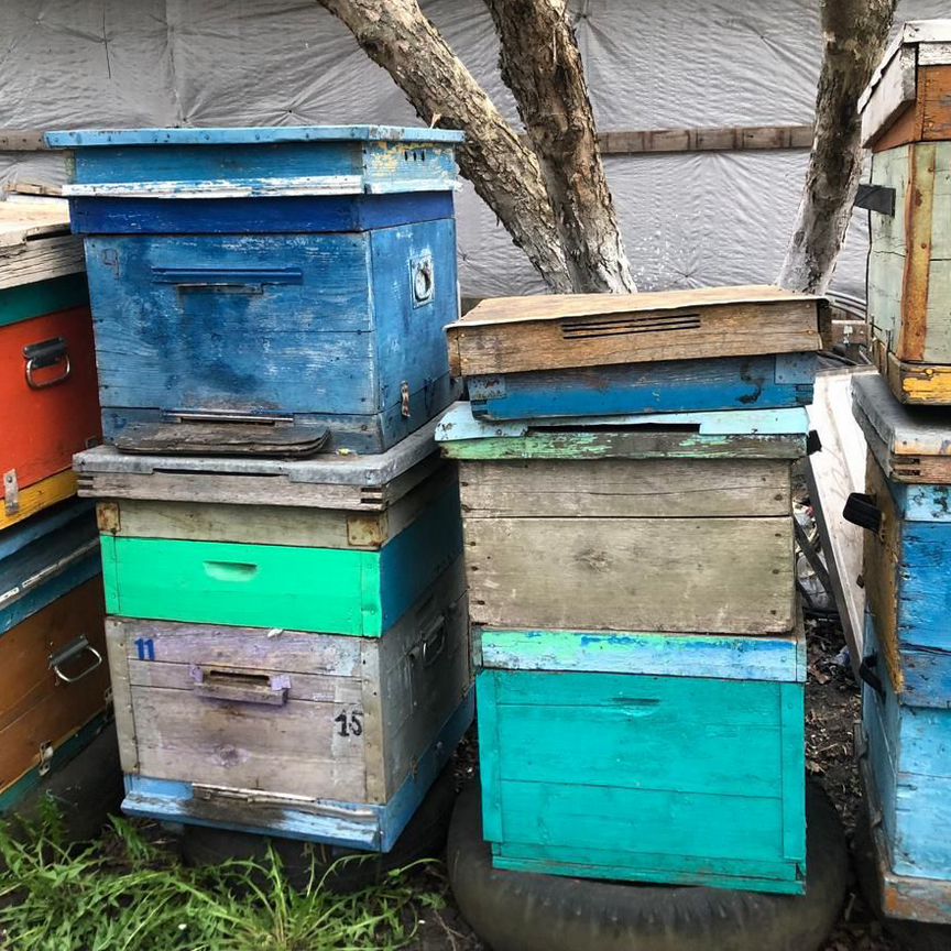 Ульи для пчел бу