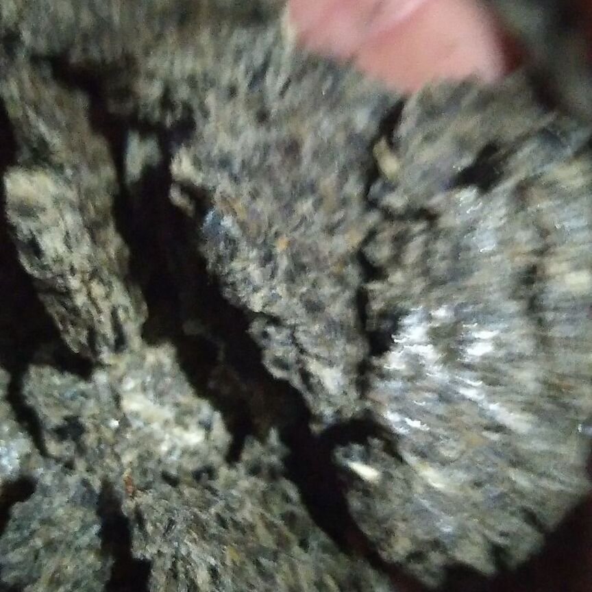 Продам жмых