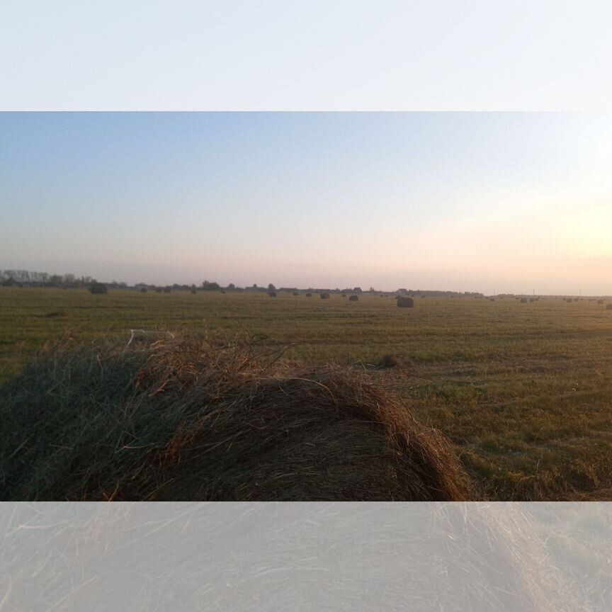 Солома в рулонах