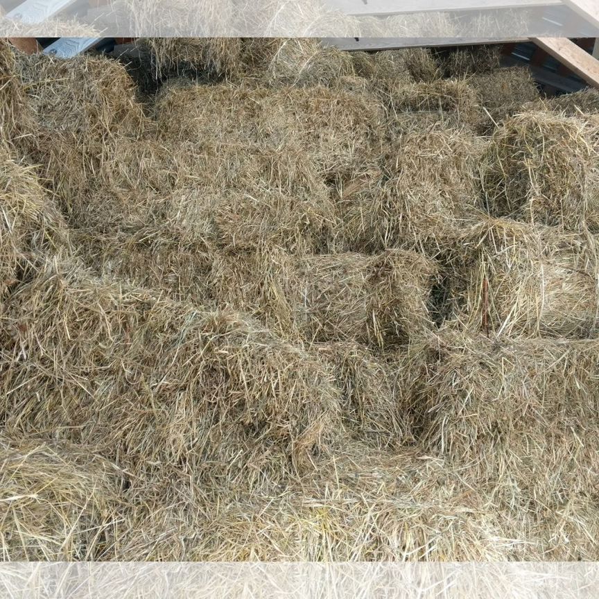 Сено в тюках