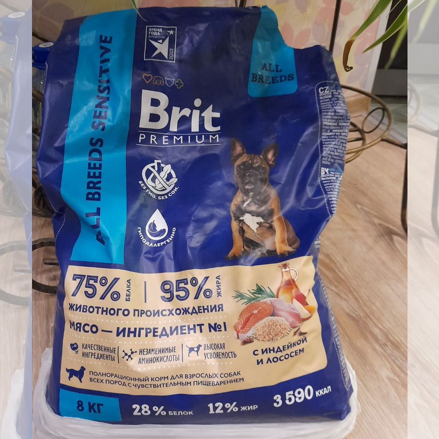 Сухой корм для собак Забронировано