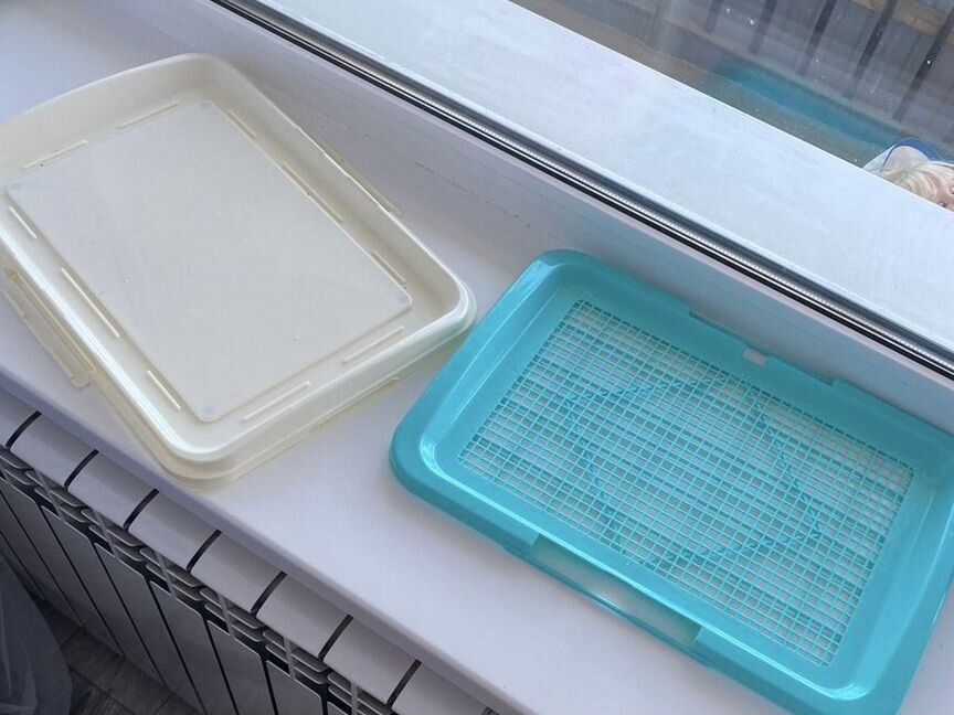 Собачий туалет