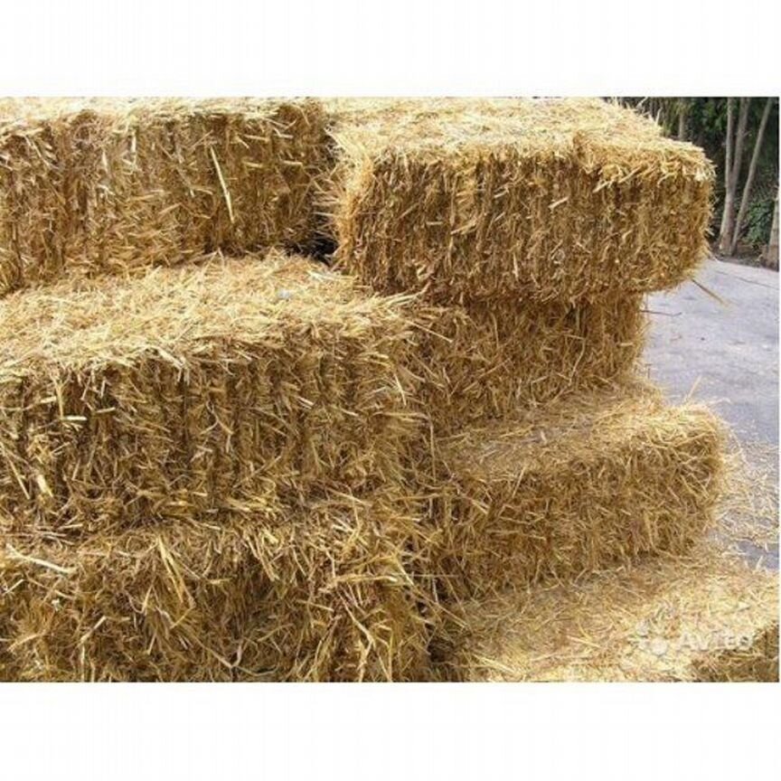 Приобрету солому