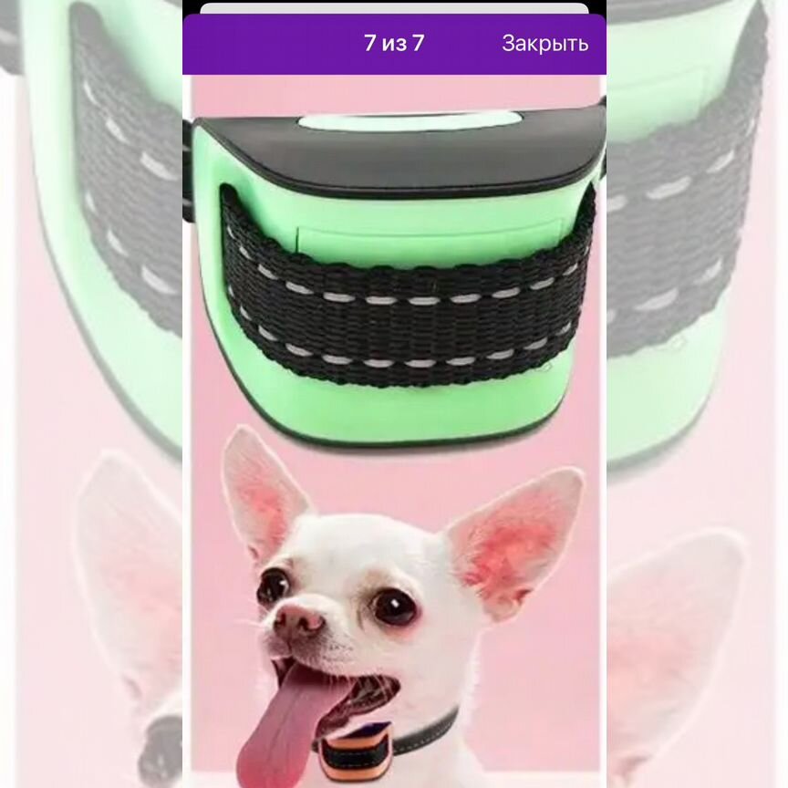 Ошейник для собак и кошек