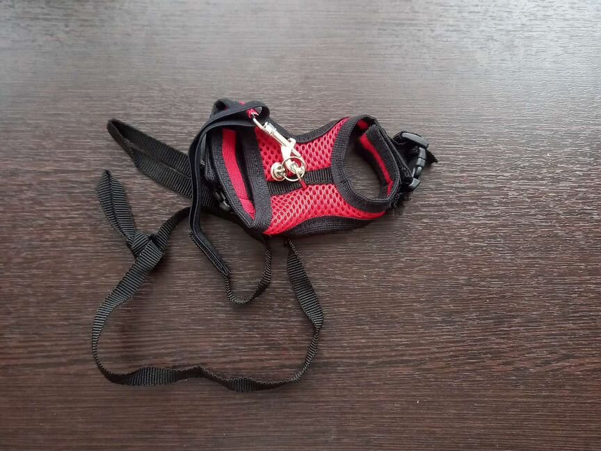 Крысиная шлейка