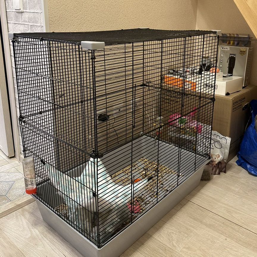 Клетка для грызунов бесплатно