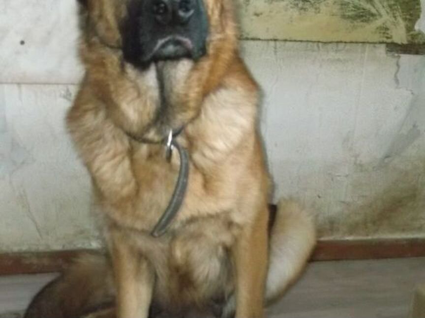 Ищу кабеля но для вязки