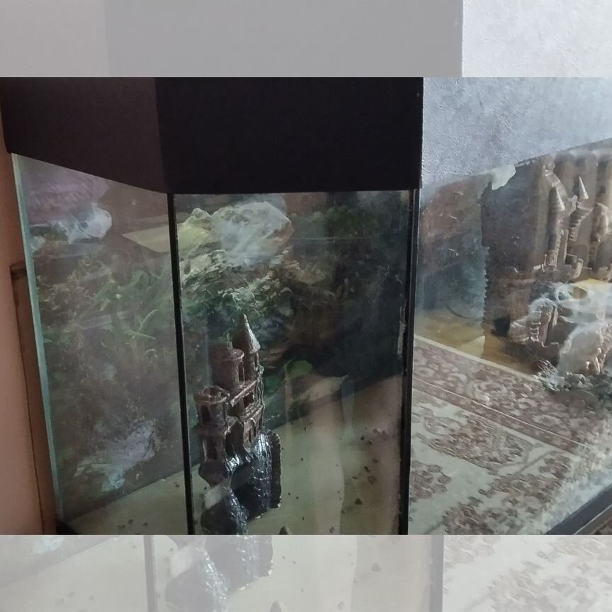 Продам аквариум бу. За 15000