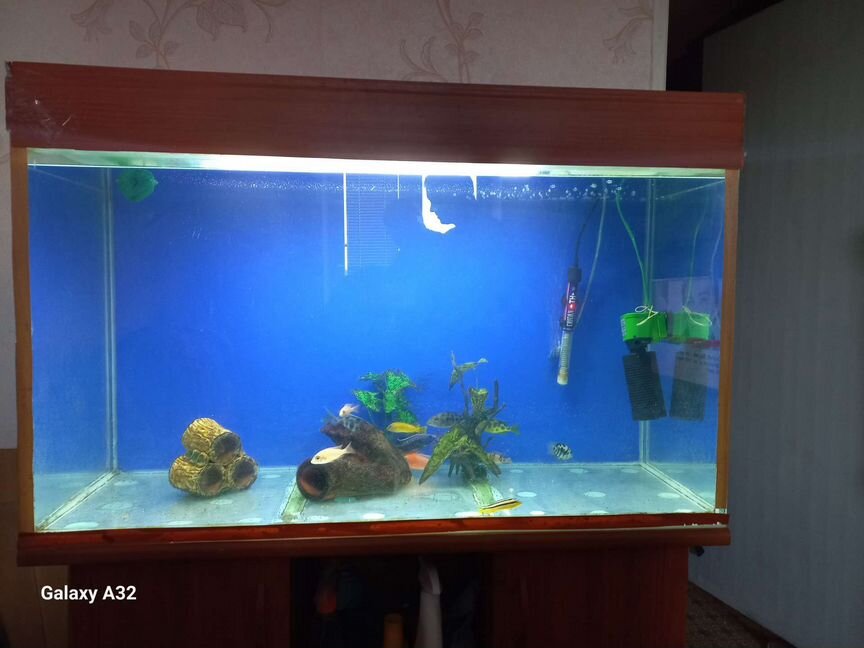 Аквариум с тумбой 220 литров с рыбками (цыхлиды)