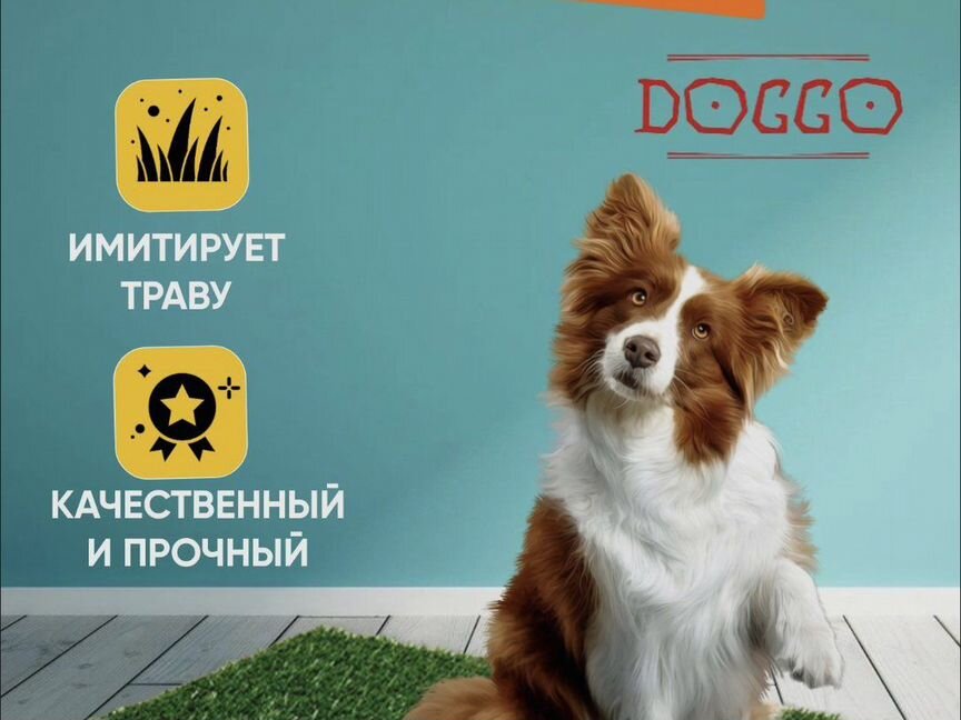 Лоток для собак