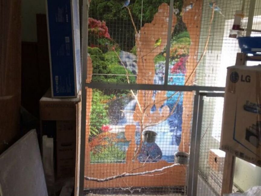 Вольер для птиц