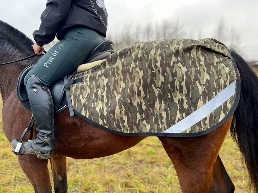 Полупопона