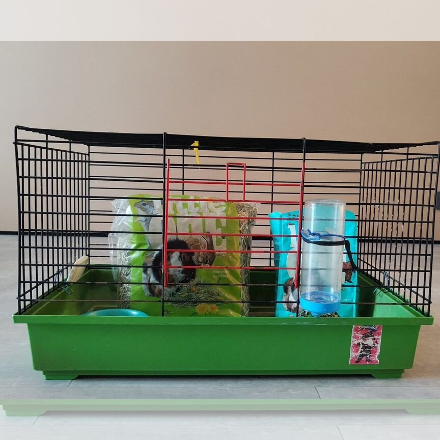 Клетка для морской свинки + все для содержания