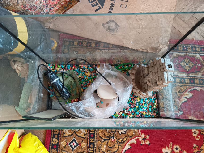 Аквариум с крышкой