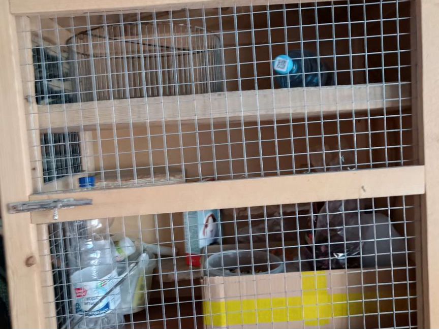 Клетка для грызунов