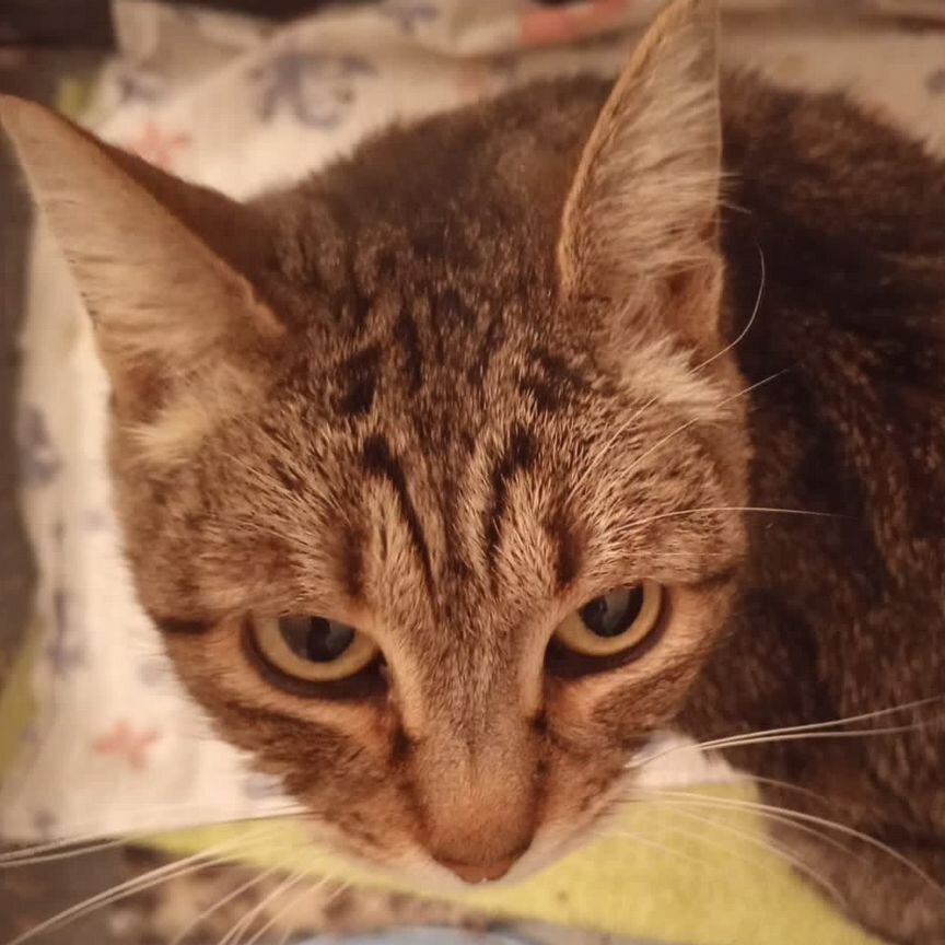 Мою бабушку сдали в дом престарелых