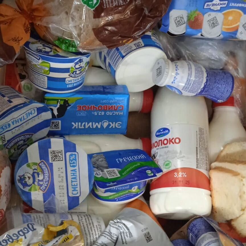 Обед для Животных