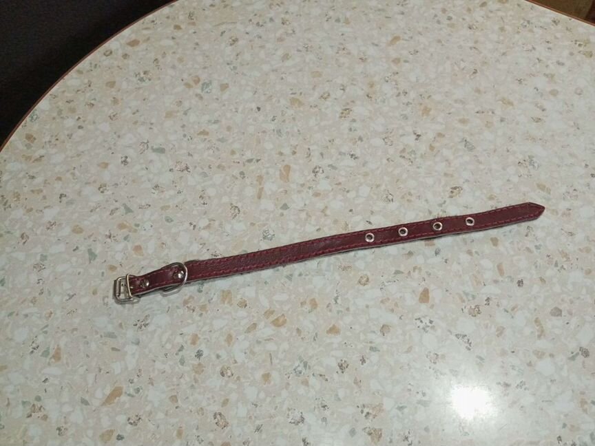 Ошейник для кошек