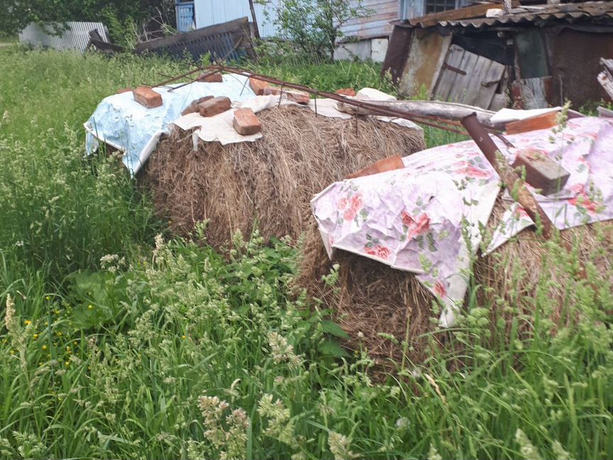 Сено в тюках