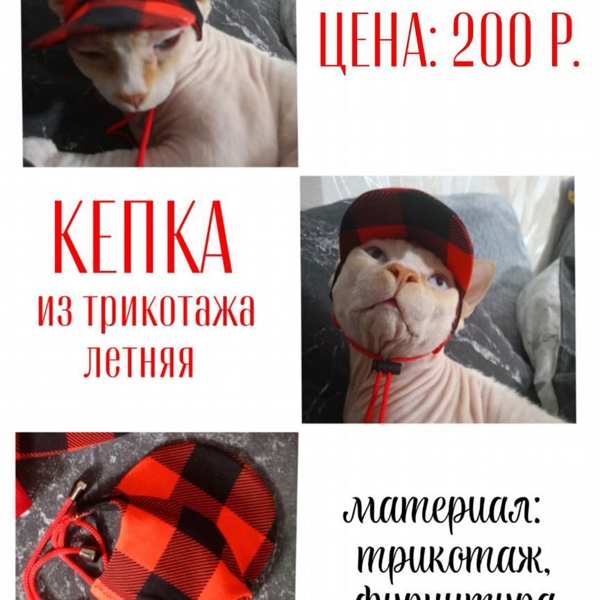 Кепки - шапочки дл кошек и собак