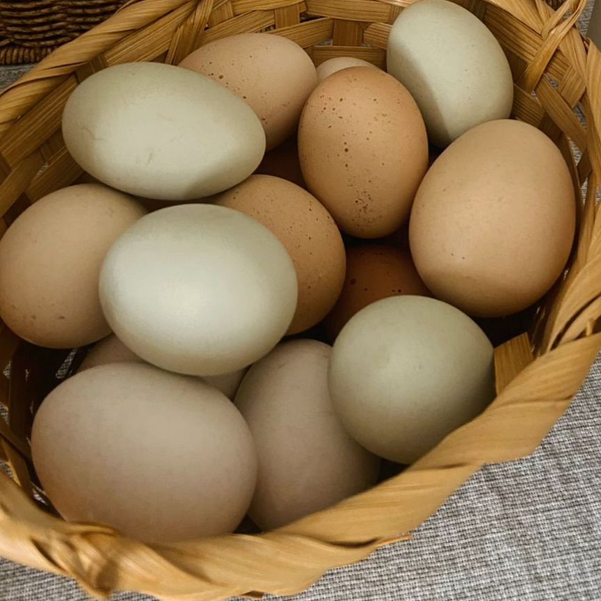 Домашние куриные яйца