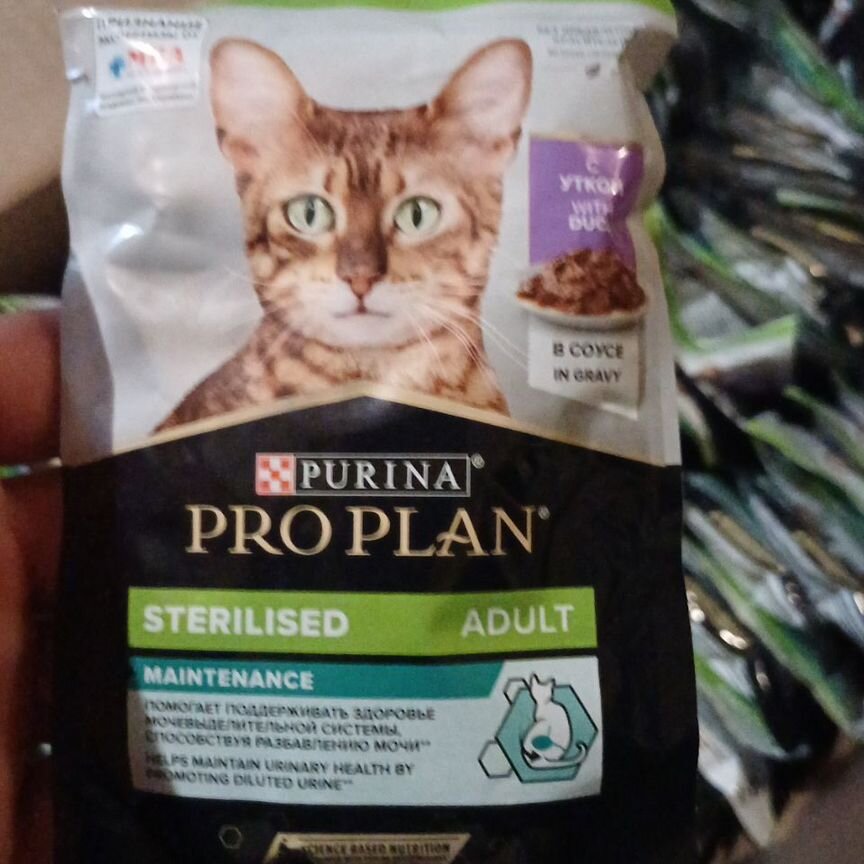 Кошачий корм влажный,Pro plan