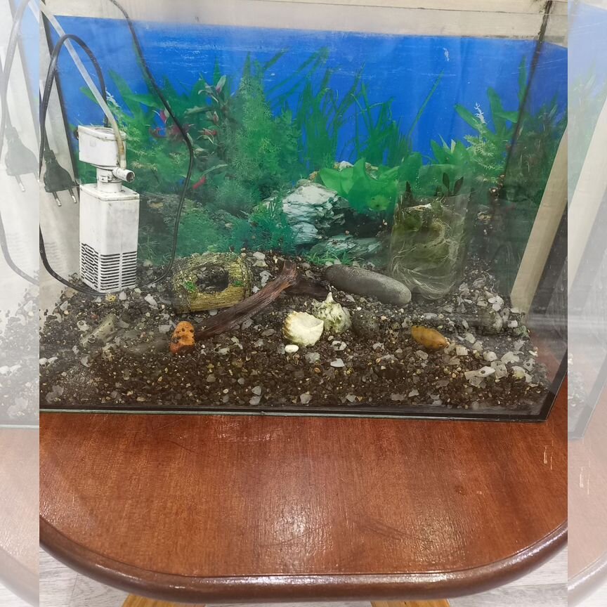 Аквариум с рыбками