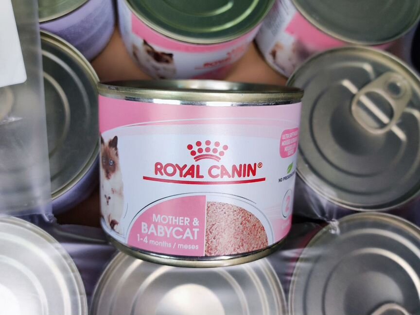 Royal canin корм для котят влажный Мусс
