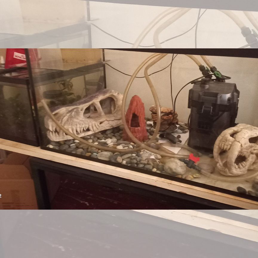 Аквариум, грунт, гроты, фильтр внешний