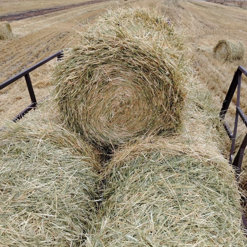 Солома в рулонах
