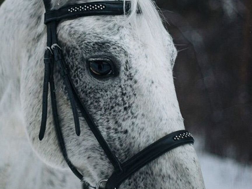 Уздечка кука/сайдпул