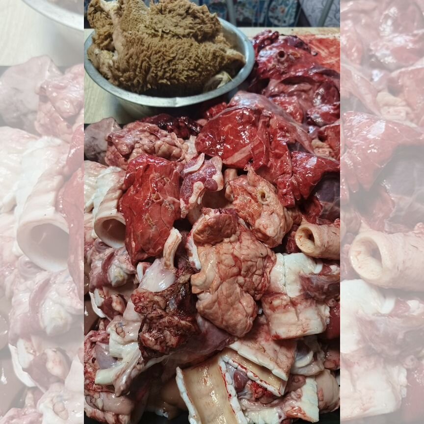 Корм для собак мясо