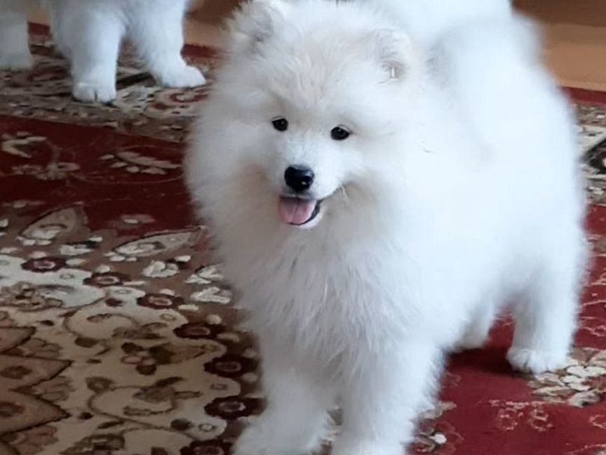 Готовы к переезду